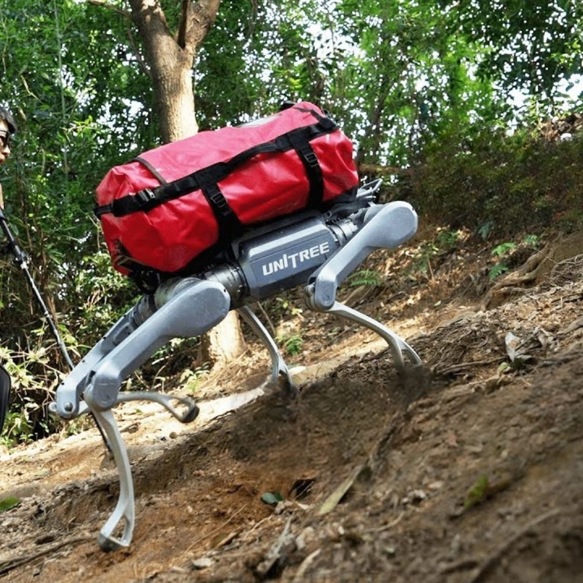 Unitree A2 Robot Köpek | ProSMT